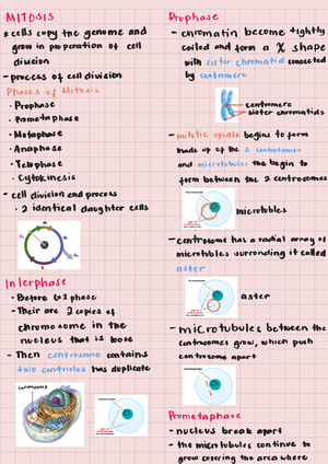 Dokumen - hkjhkjhkj - exist. No portion of this material may be ...
