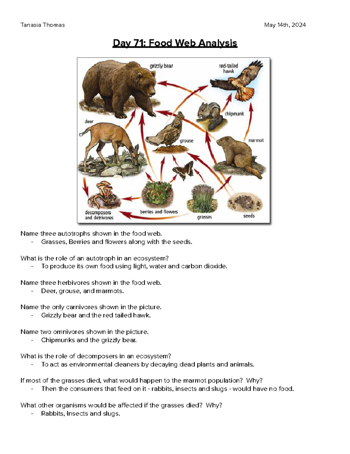 Copy of Day 71 Food Web Analysis - Tanasia Thomas May 14th, 2024 Day 71 ...