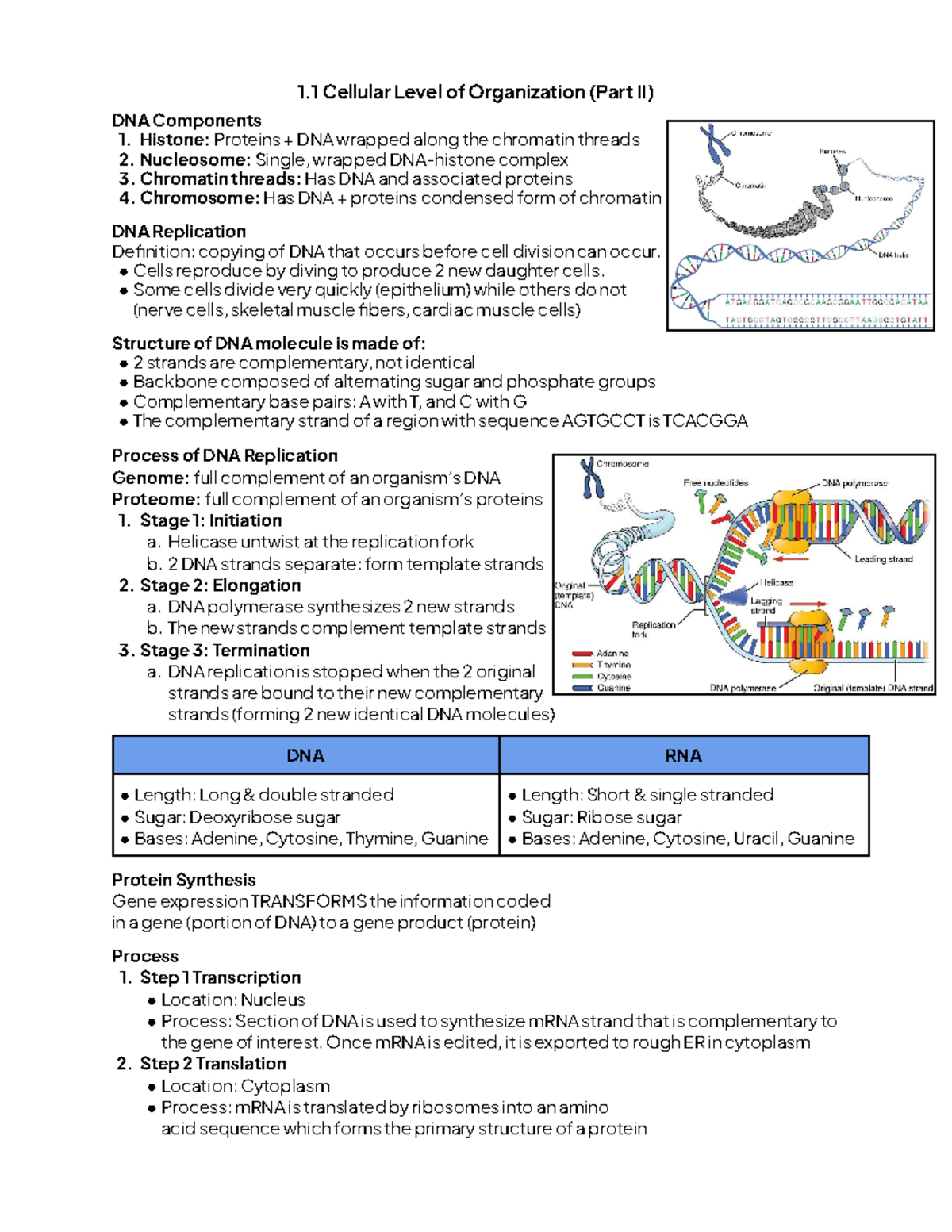 Unit 1 - Cellular & Chemical Level - 1 Cellular Level of Organization ...