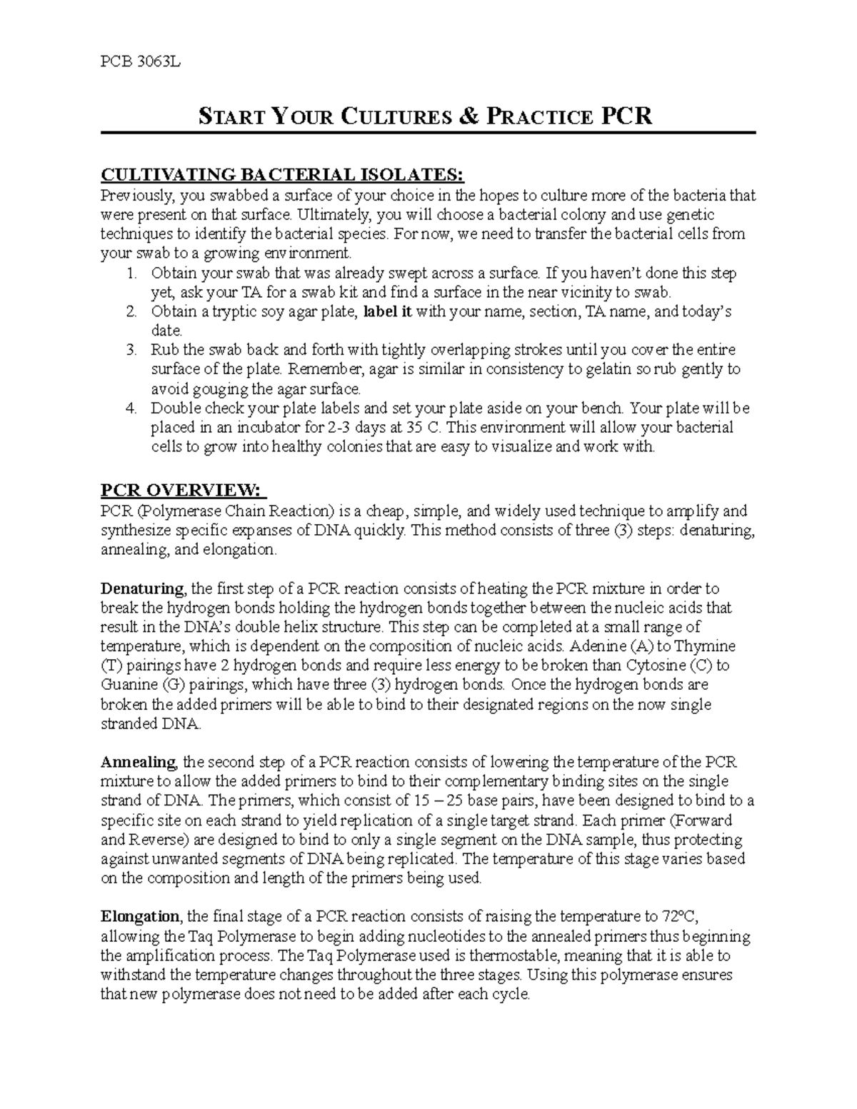 Practice PCR PCB 3063L - n/1 - START YOUR CULTURES & PRACTICE PCR ...