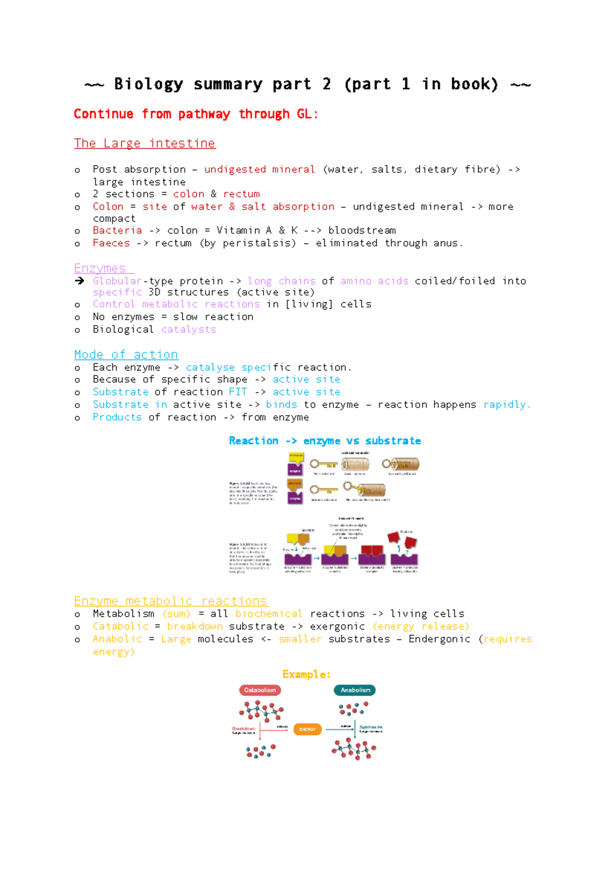 Biology summary part 2 - little part of module 1/2 - continue from ...