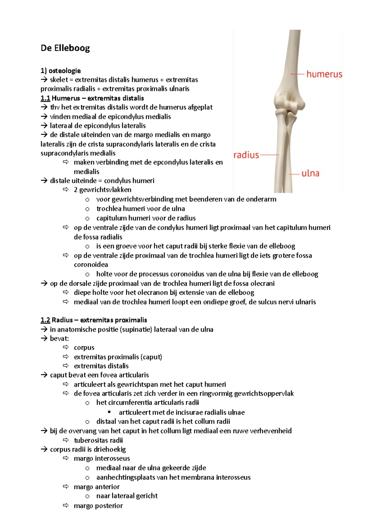 Samenvatting de elleboog - De Elleboog osteologie skelet = extremitas ...