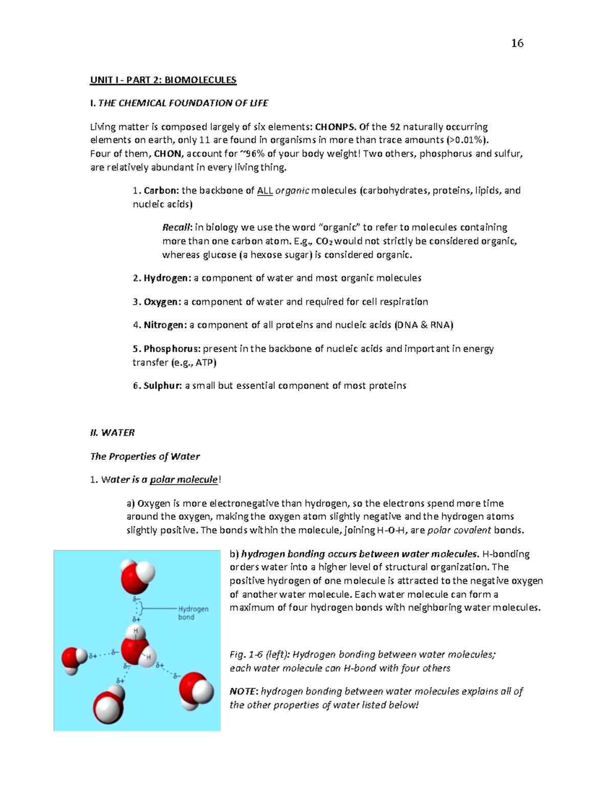 2 Biomolecules - UNIT I - PART 2: BIOMOLECULES I. THE CHEMICAL ...