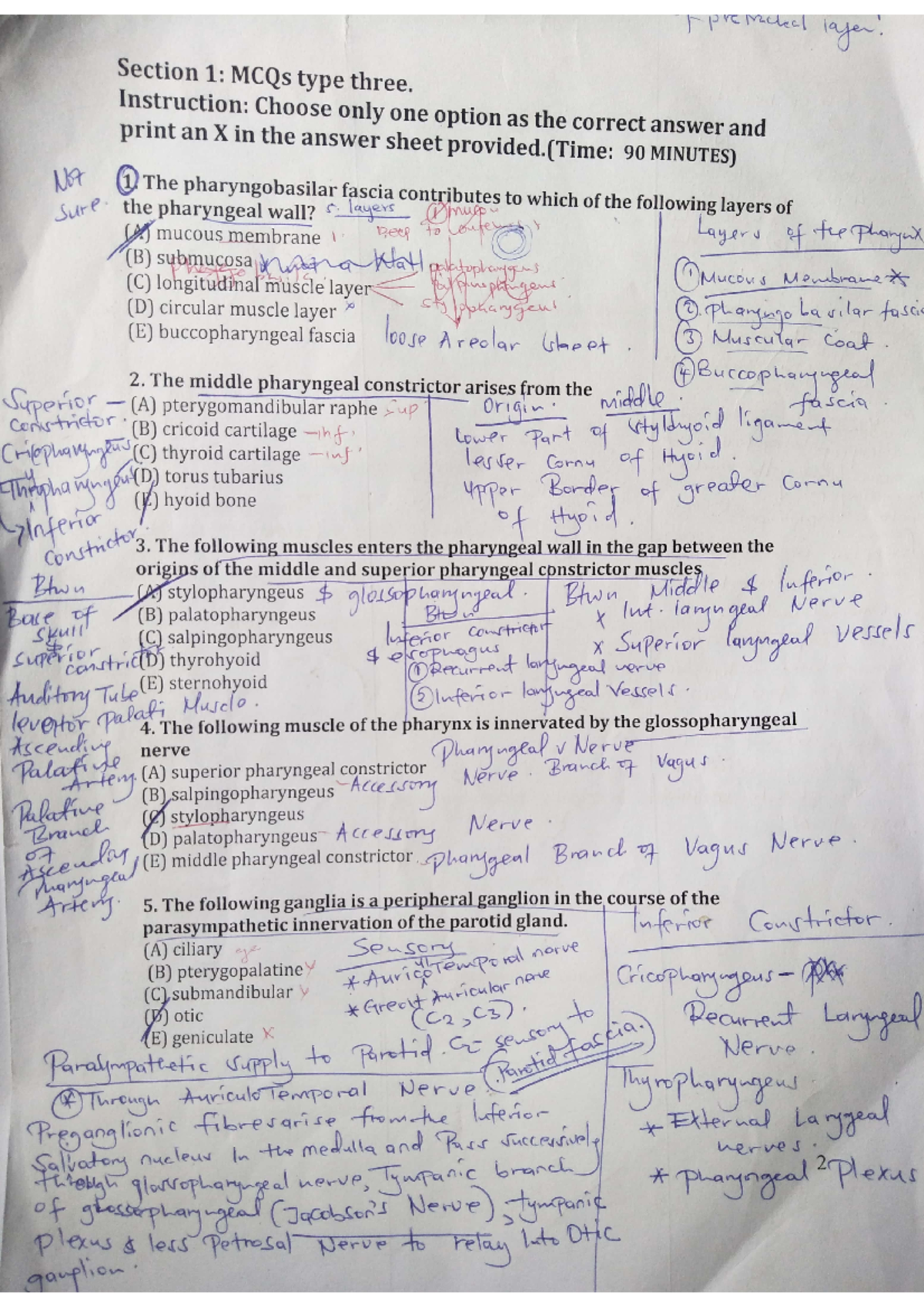 Anatomy MCQs - Clinical Medicine - Studocu
