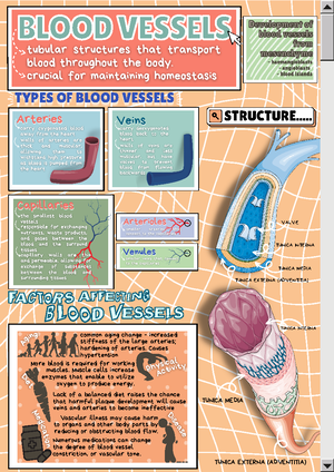 Activity 2 - Pulmo Rehab - ACTIVITY 2 – PULMO REHAB COPD CONDITIONS ...