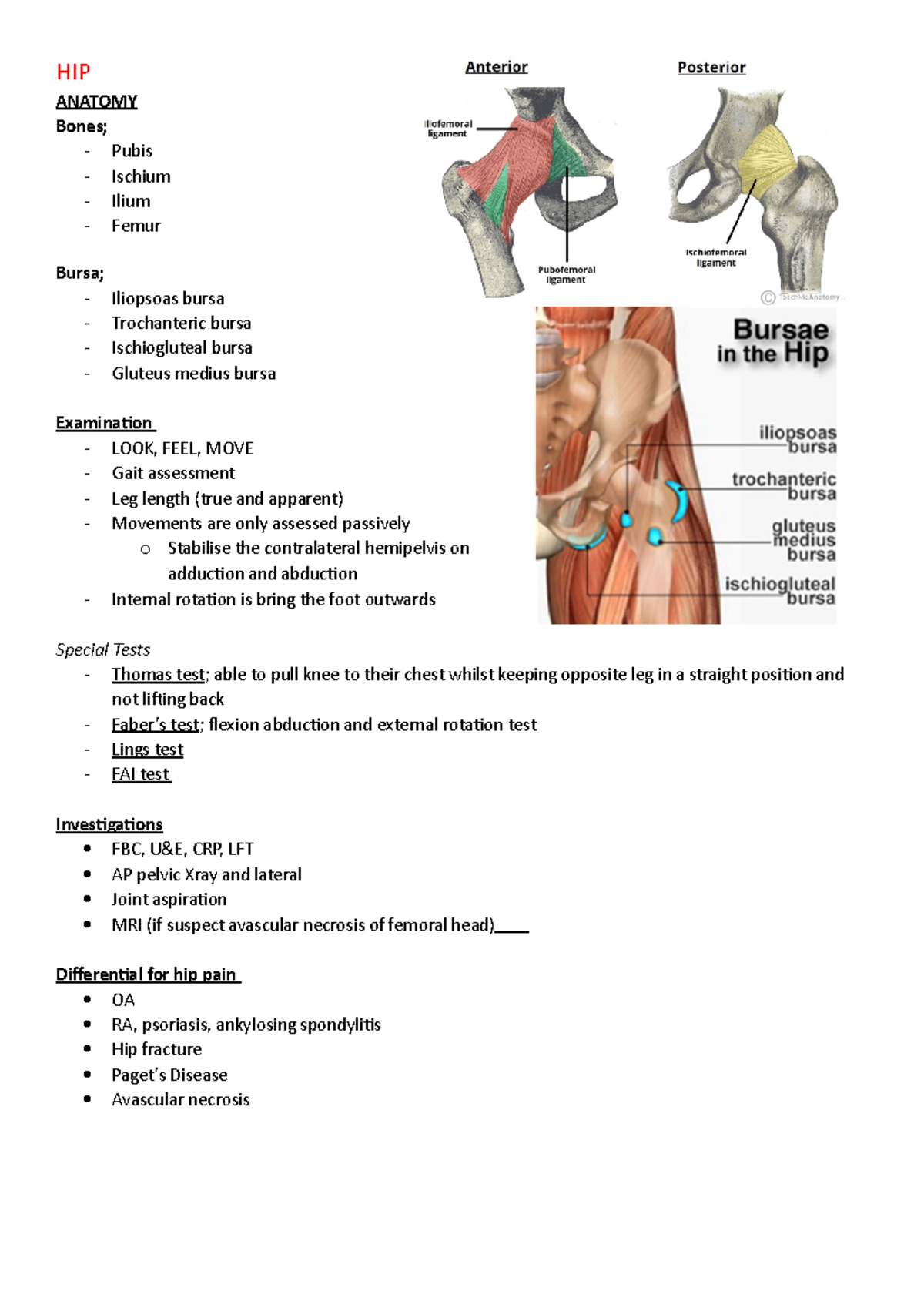 HIP - Summary notes - HIP ANATOMY Bones; - Pubis - Ischium - Ilium ...