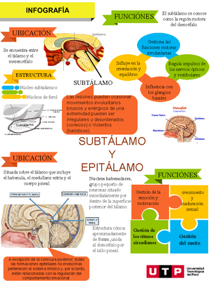 Salud Mental Audrey - MARCO TEORICO La salud mental se define como un ...