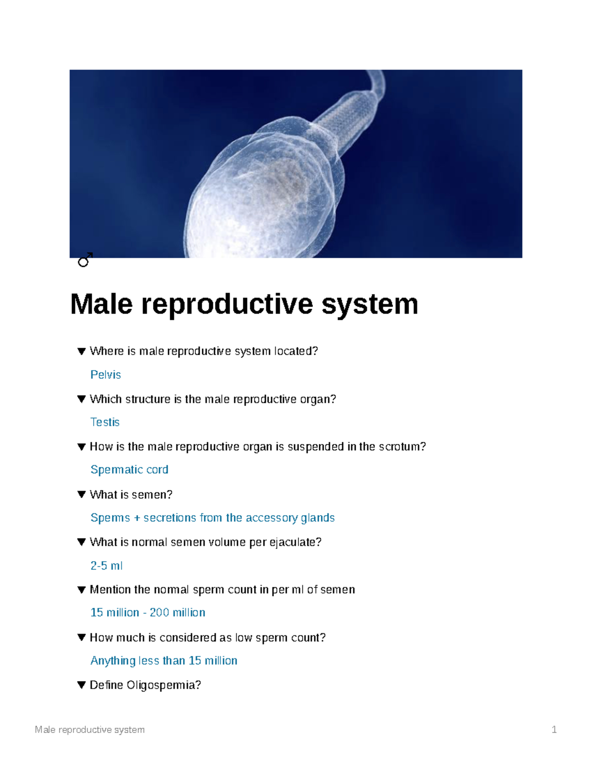 Anatomy & Physiology MALE Reproductive System - ♂ Male reproductive ...