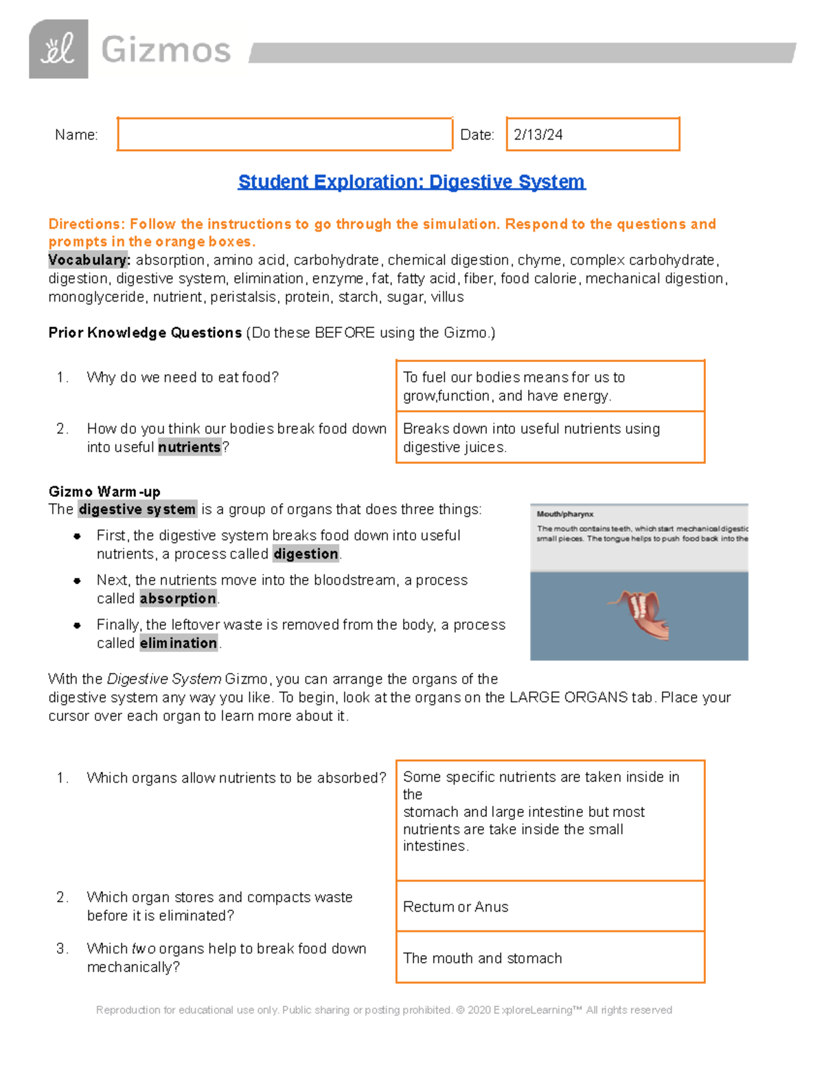 Copy of Digestive System SE - Name: Date: 2/13/ Student Exploration ...