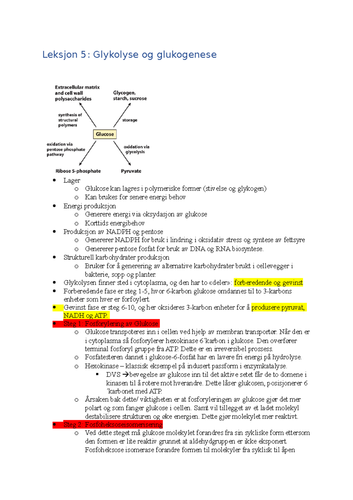 Leksjon 5-MOL200 - Læringsmål i GPCR, lipider, glykogen syntese og ...