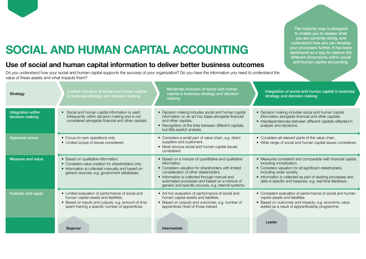 Social and Human Capital Accounting Maturity Map - SOCIAL AND HUMAN ...