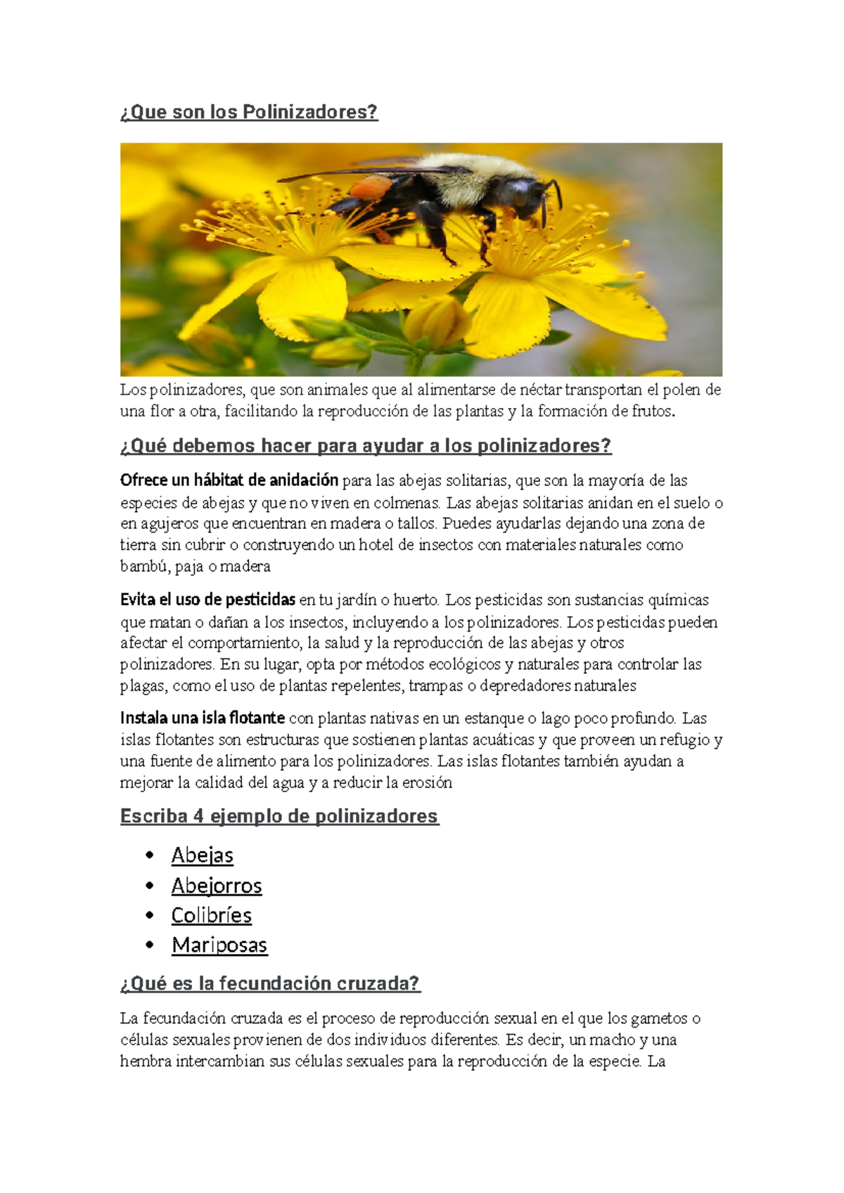Que son los Polinizadores - ¿Que son los Polinizadores? Los ...