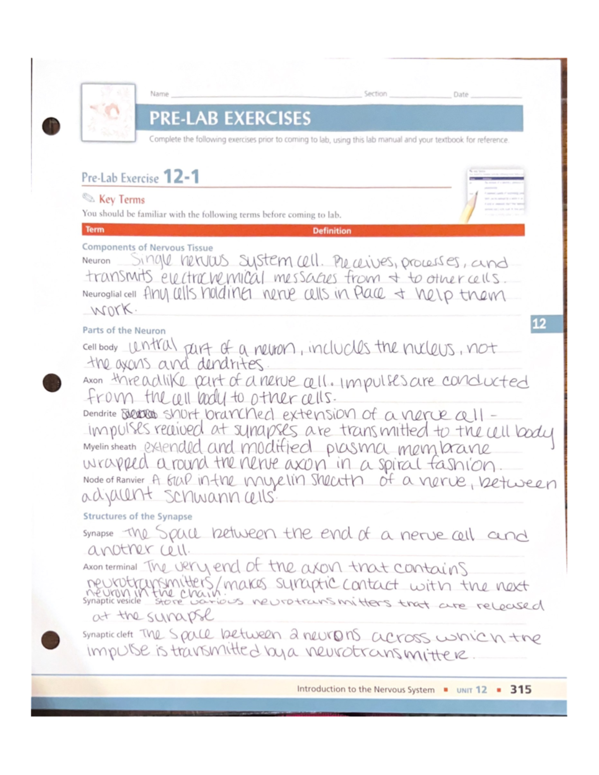 Section - chapter 12 - BIOL 2402 - Studocu
