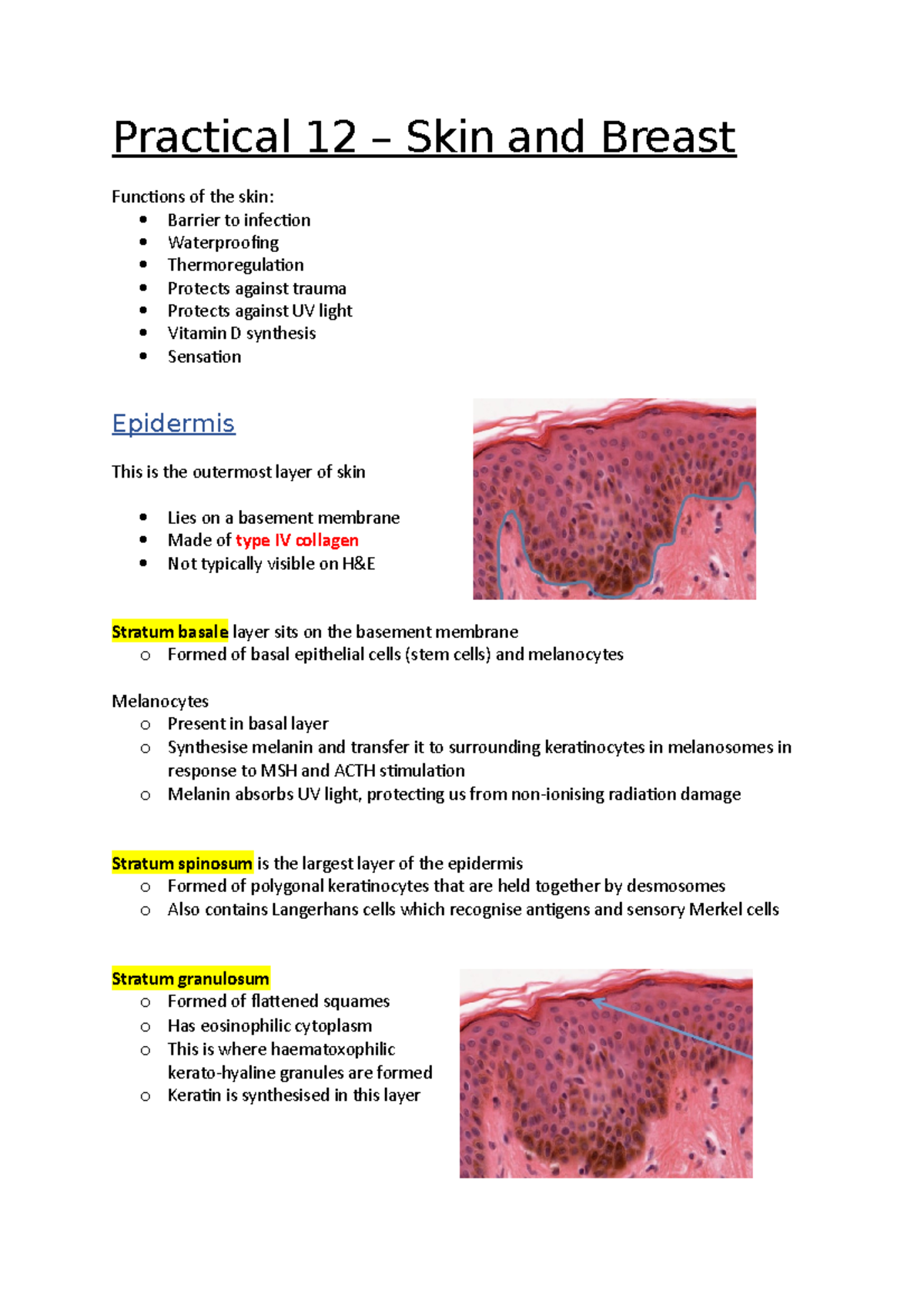 Practical 12 - Skin and Breast - Practical 12 – Skin and Breast ...