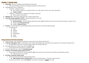 All about Basketball - its a notes - The Rules of Basketball Length of ...