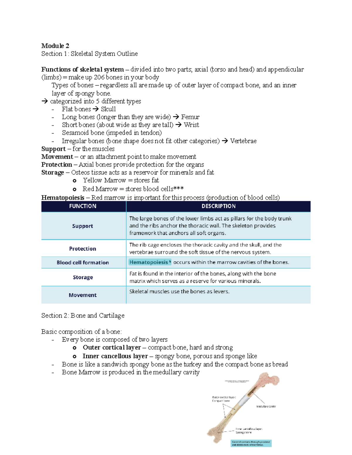 Module 2-ANAT100 - Skeletal System - Module 2 Section 1: Skeletal ...