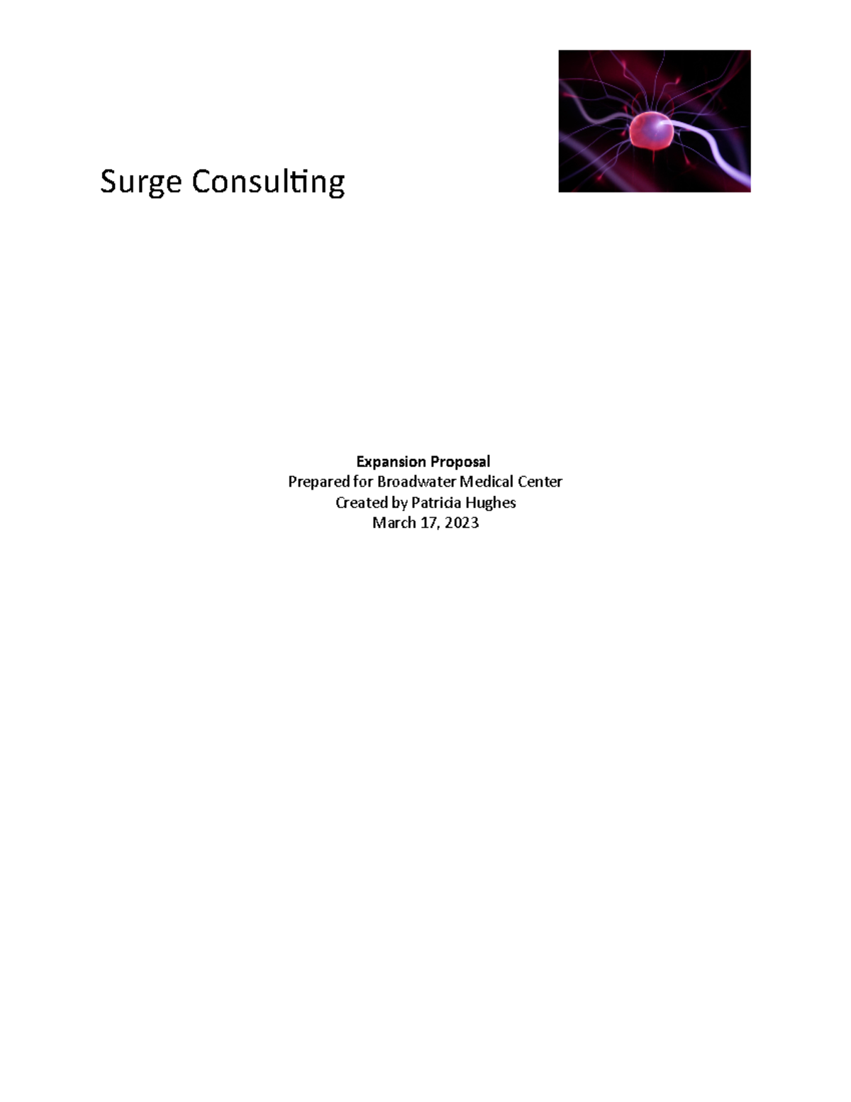 Project 1 Business Brief - Surge Consulting Expansion Proposal Prepared ...
