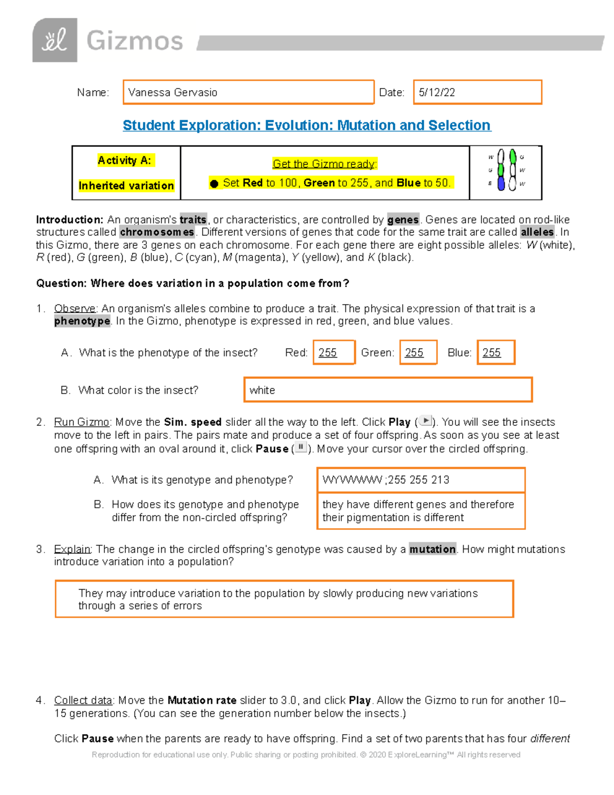 student - Honors Evolution Mutation Selection - Name: Vanessa Gervasio Date: 5/12/ Student - Studocu