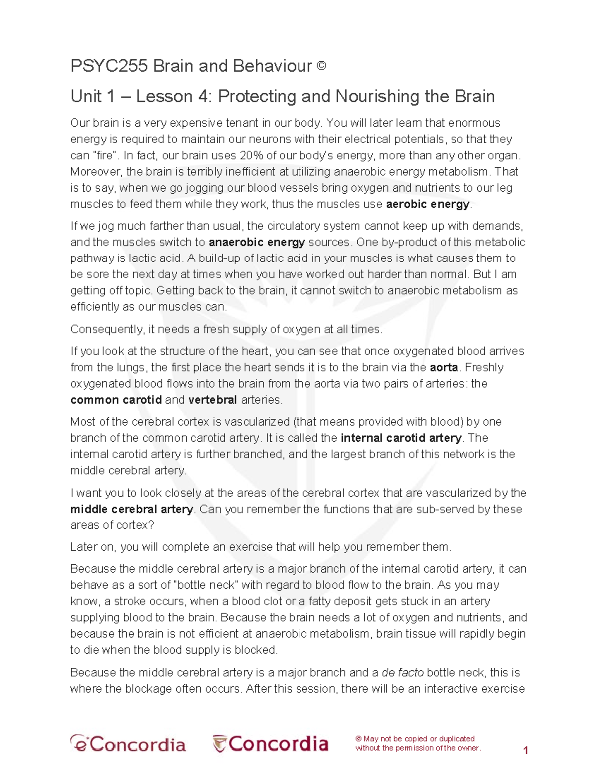 Unit 1 Lesson 4 - 1 © May not be copied or duplicated without the permission of the owner ...