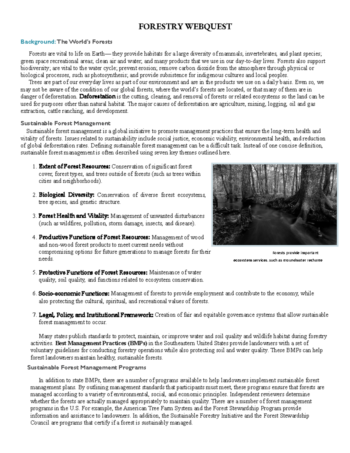 Forestry Webquest - FORESTRY WEBQUEST Background: The World’s Forests ...