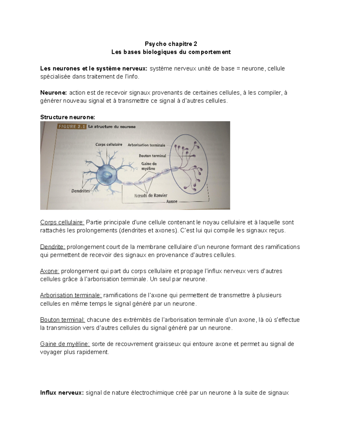 Psycho - chapitre 2 - Bases biologiques du comportement - Psycho chapitre 2 Les bases ...