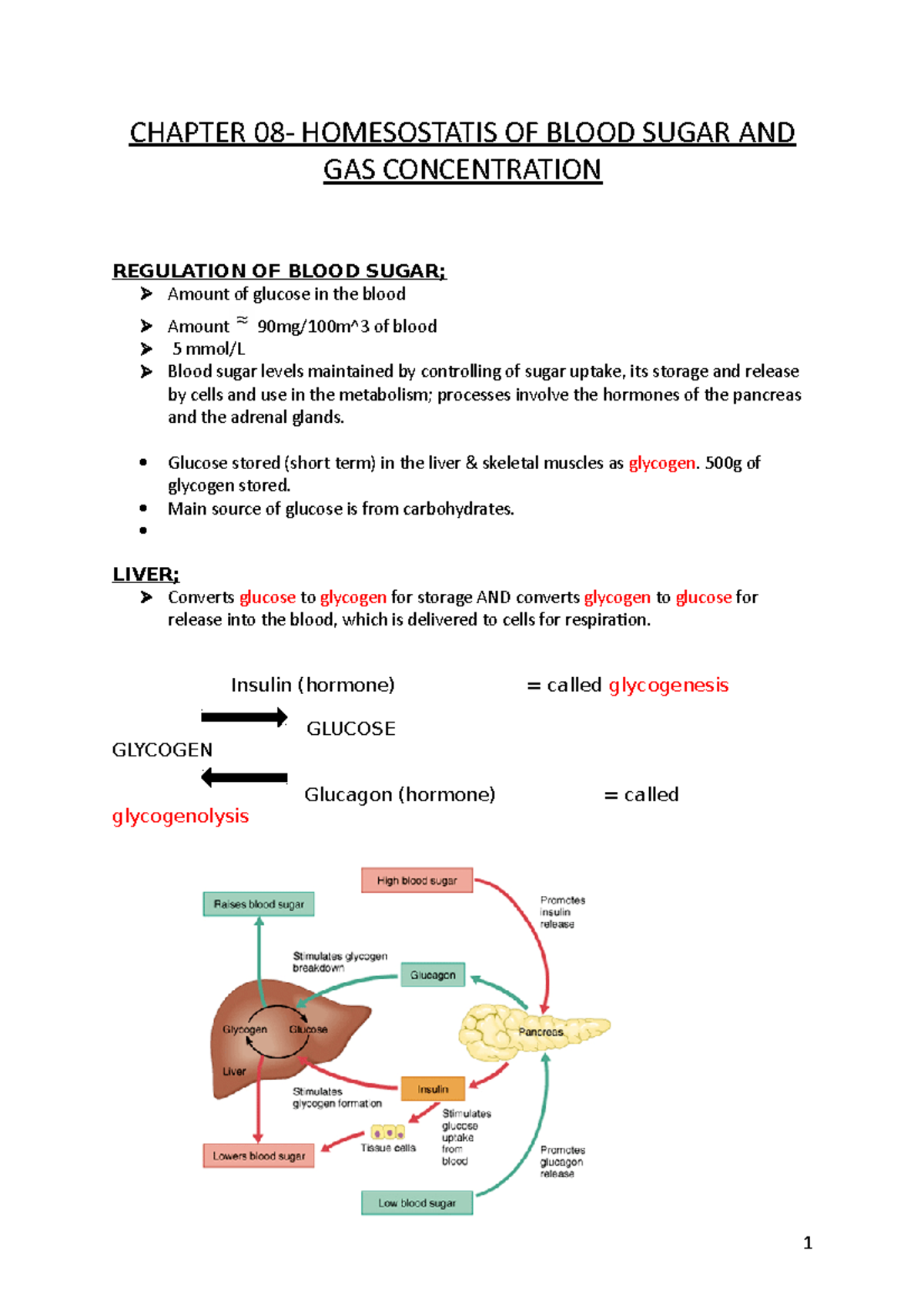 CH 08 - Homeostasis OF Blood Sugar AND GAS Concentration - CHAPTER 08 ...