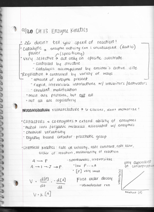 Enzyme Kinetics lab report 2 - Enzyme Kinetics Martee Larson , Lauren ...