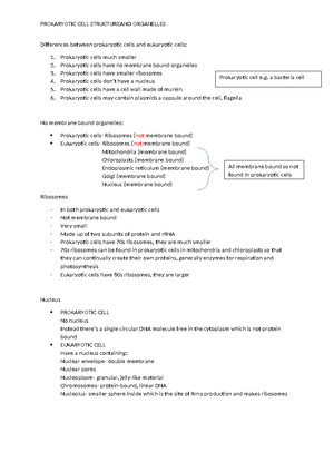 Unit 2 Example Distinction Rebecca's Dairy - SUBJECT ASSESSMENT WORK KA ...