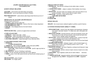 Anaphy Respiratory - notes - ANATOMY AND PHYSIOLOGY THE RESPIRATORY ...