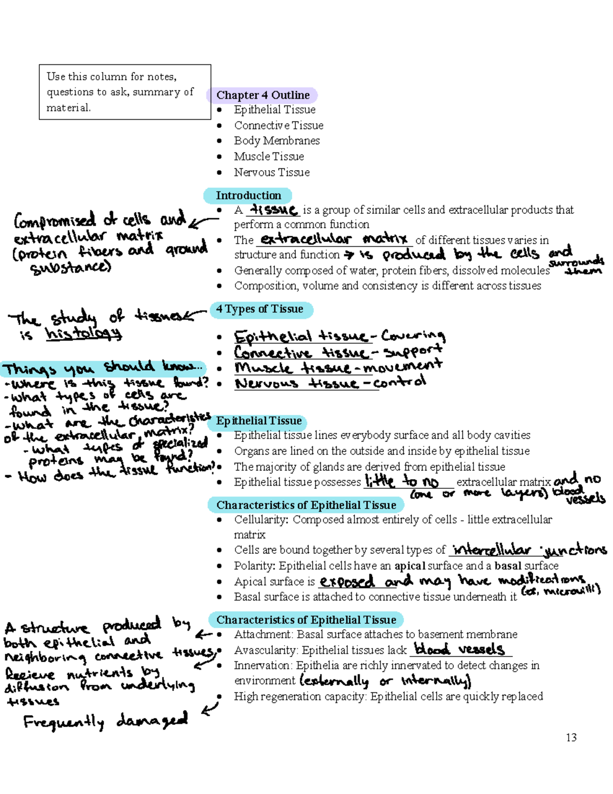 Chapter 4 - Chapter 4 Outline Epithelial Tissue Connective Tissue Body ...