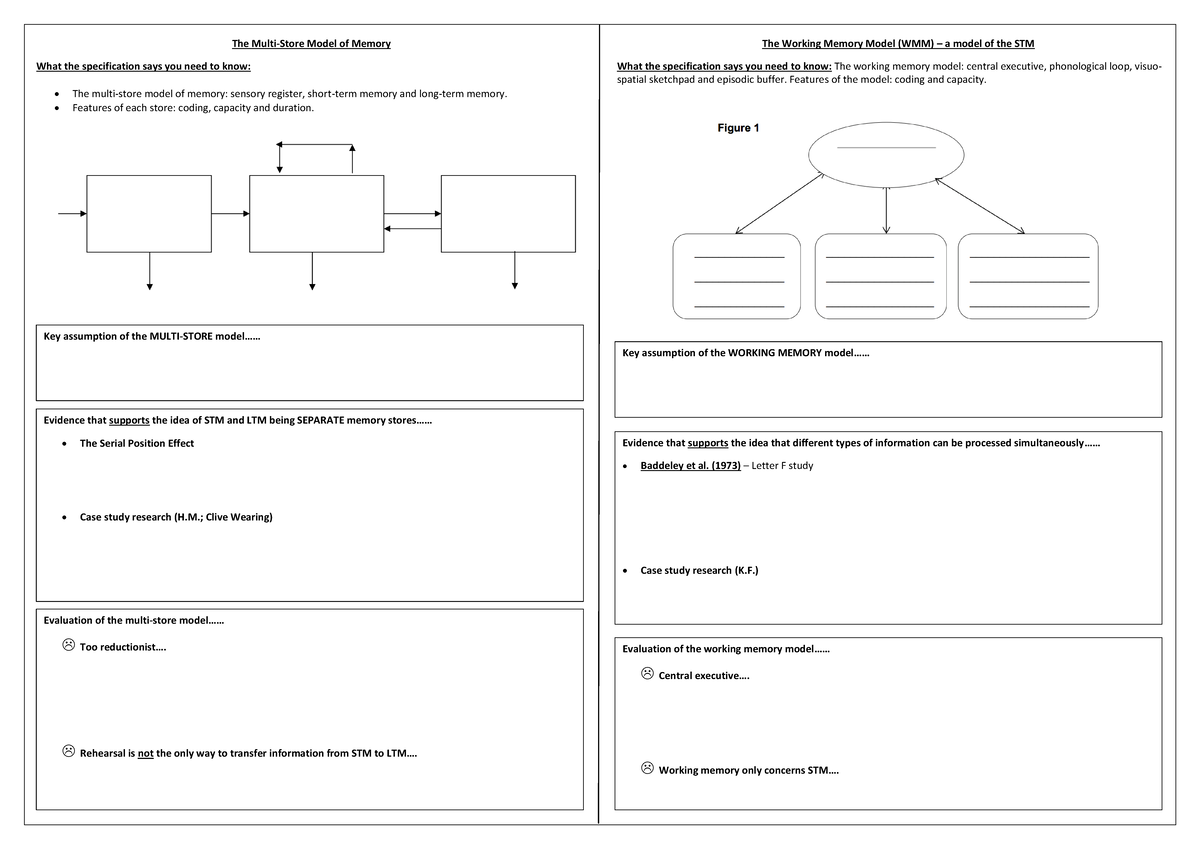 Models of Memory - Features of the model: coding and capacity. The ...