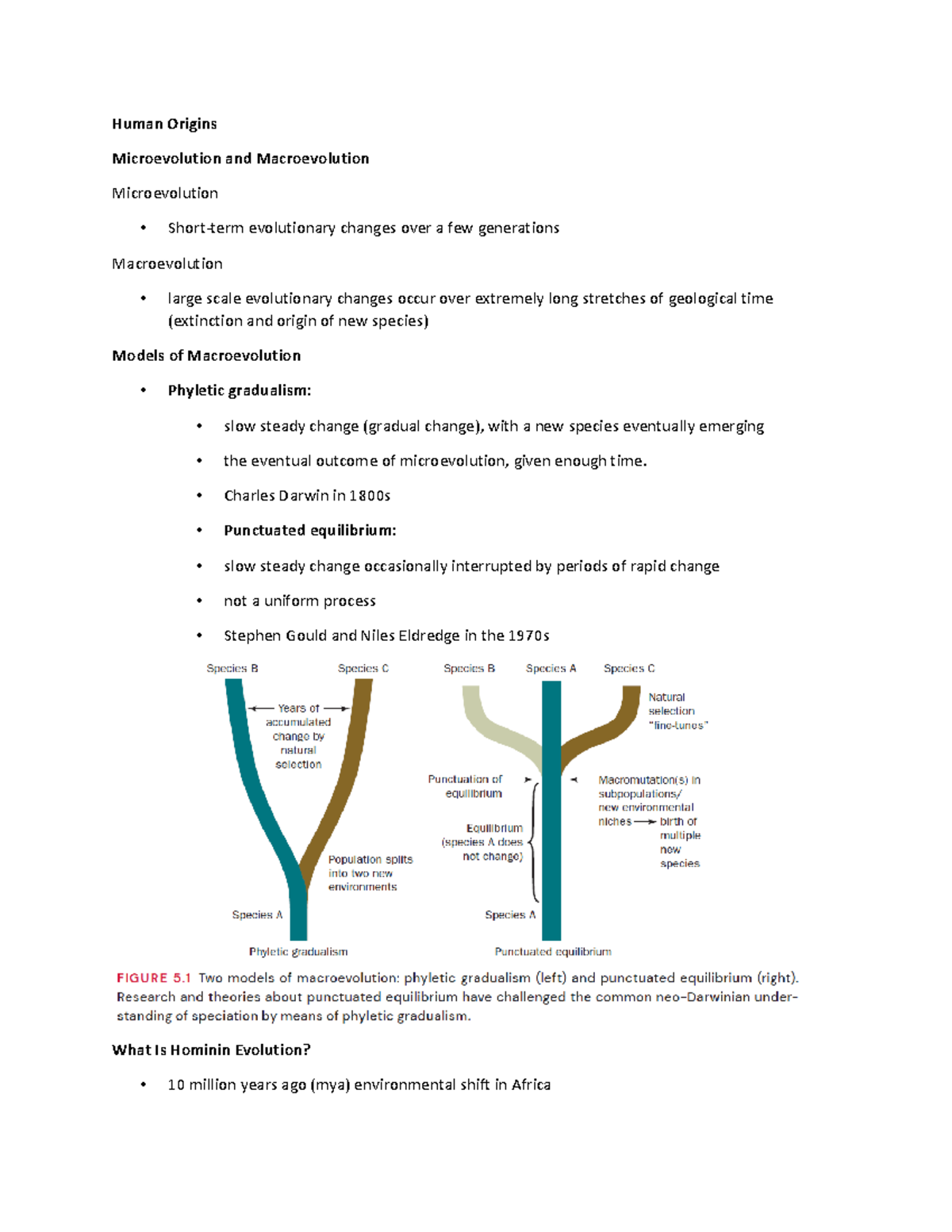 Chapter 5 Anthropology - Human Origins Microevolution and ...