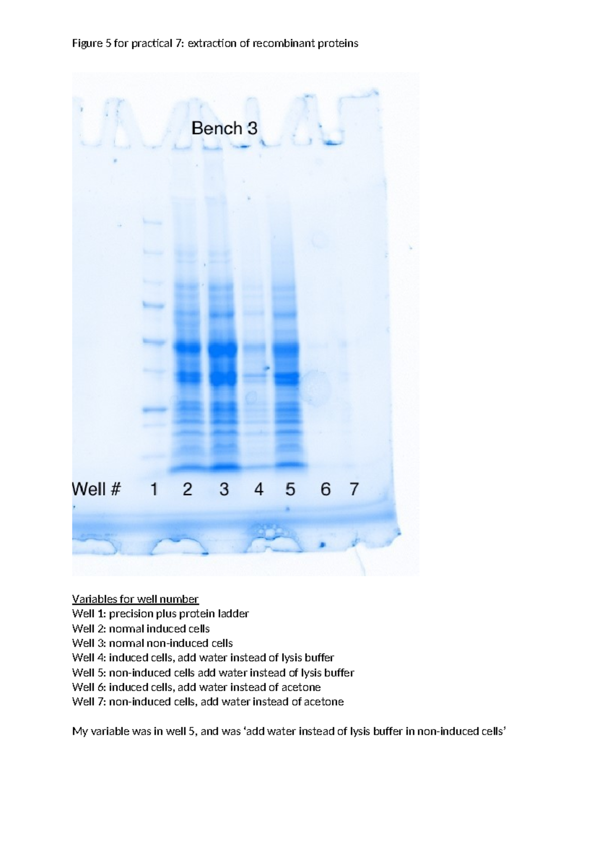 Figure 5 for prac 7 - Figure 5 for practical 7: extraction of recombinant proteins Variables for ...