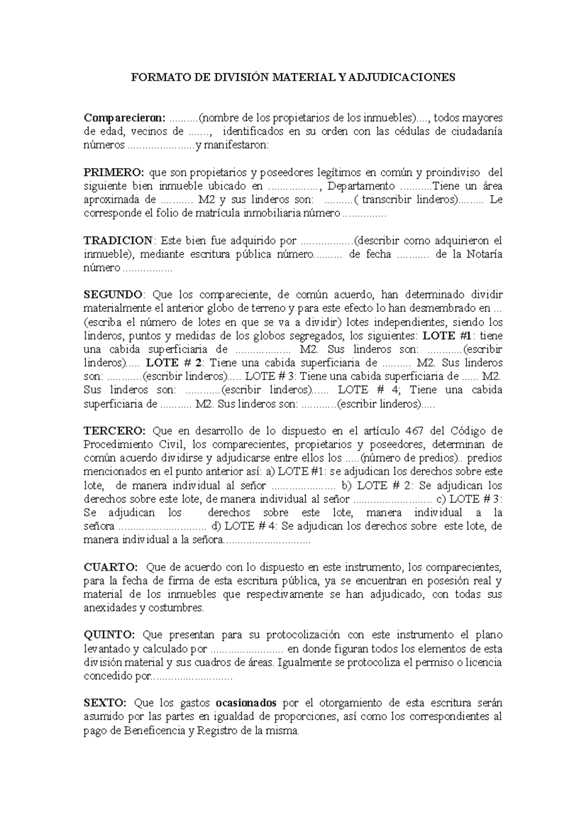 Division material y adjudicaciones - FORMATO DE DIVISIÓN MATERIAL Y ...