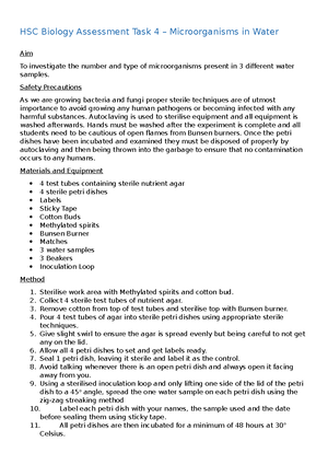 Billy Elliot - Boxing Scene Analysis - Billy Elliot - Boxing Scene ...