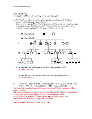 Problems 5 - Problem set 5 key, work, examples, and explanations ...