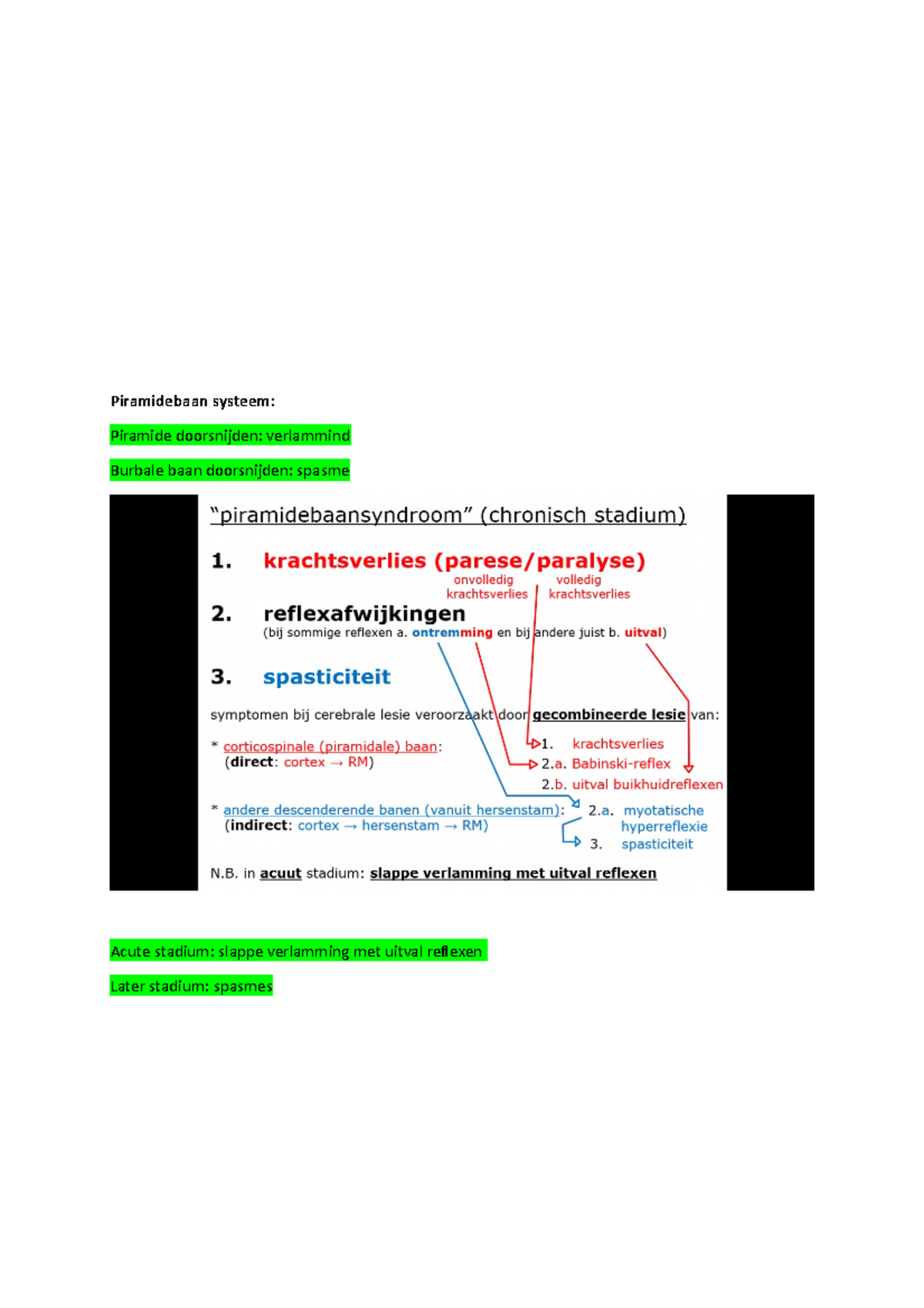 Aantekening pathologie 4 - Piramidebaan systeem: Piramide doorsnijden ...