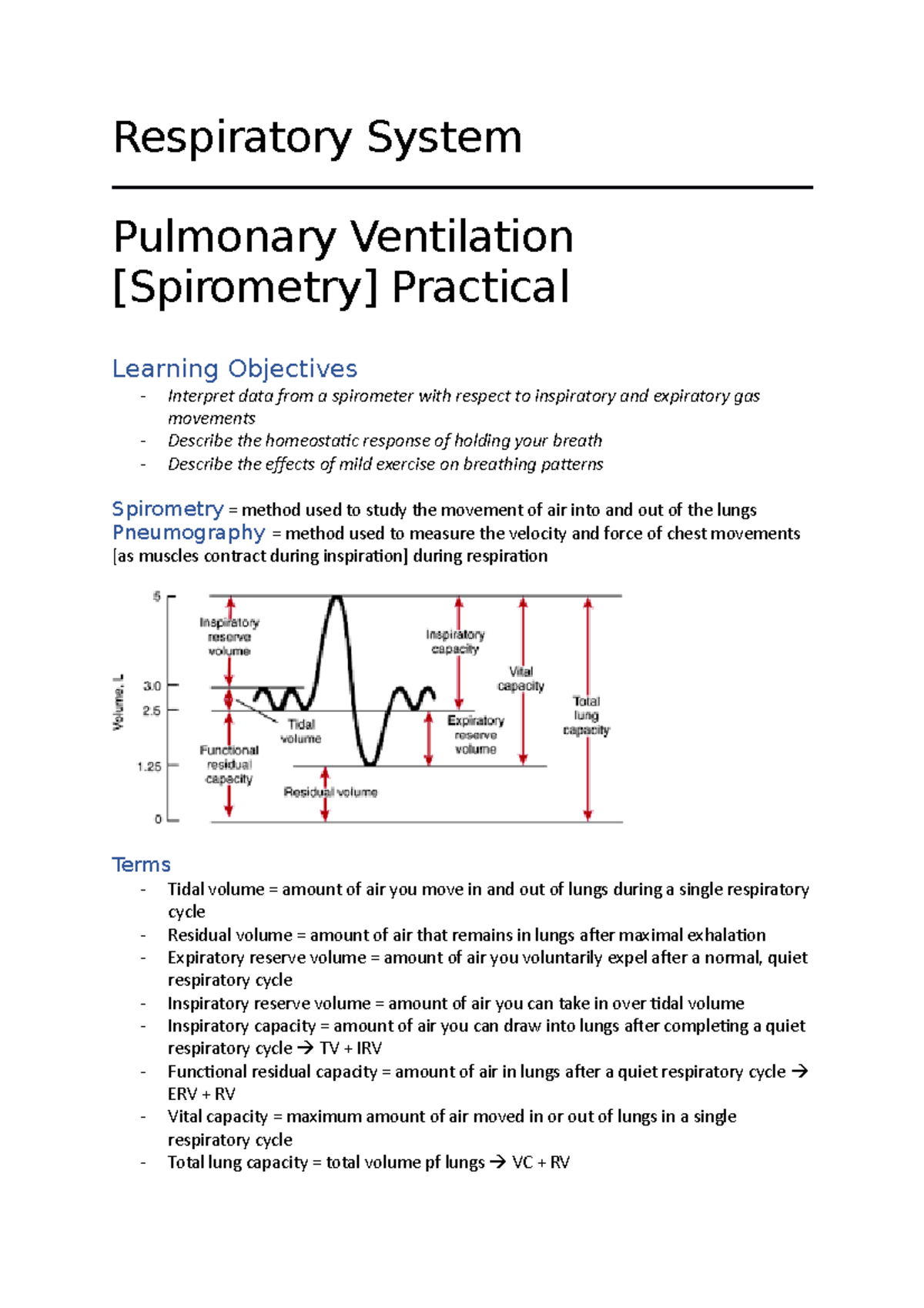 Respiratory System - Respiratory System Pulmonary Ventilation ...