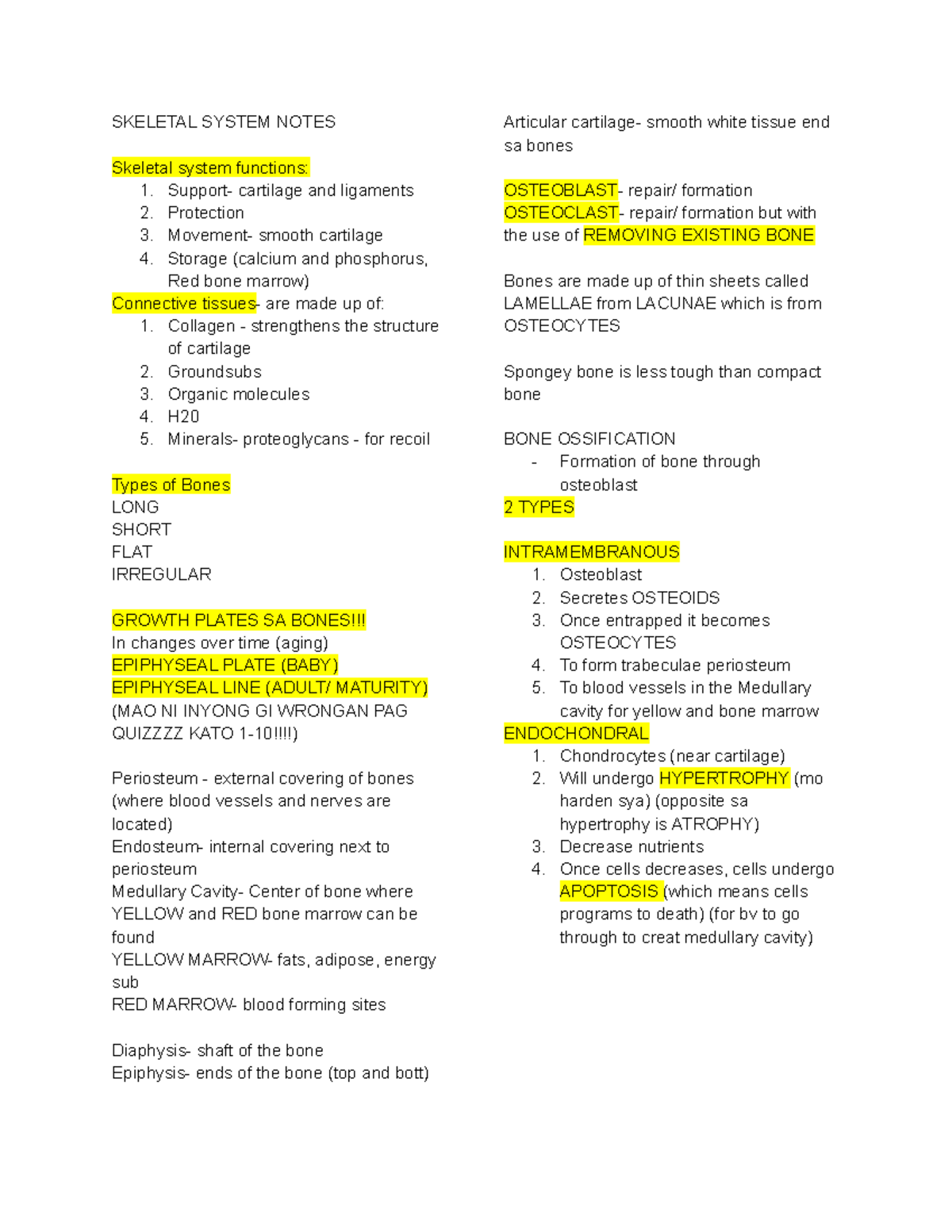 Skeletal- System- Notes Notes - SKELETAL SYSTEM NOTES Skeletal system ...