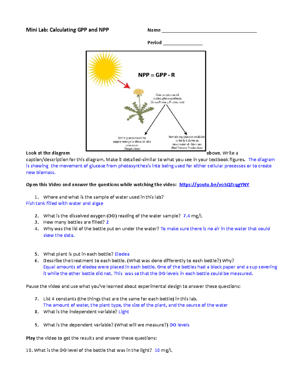 Copy Of Virtual Lab Calculating Gpp And Npp Mini Lab Calculating Gpp