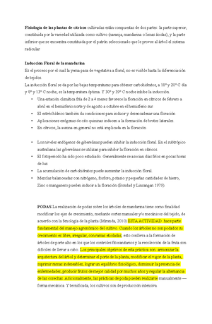 Consolidaciondeltrabajofinal - FISIOLOGÍA VEGETAL UNIDAD 3 ...