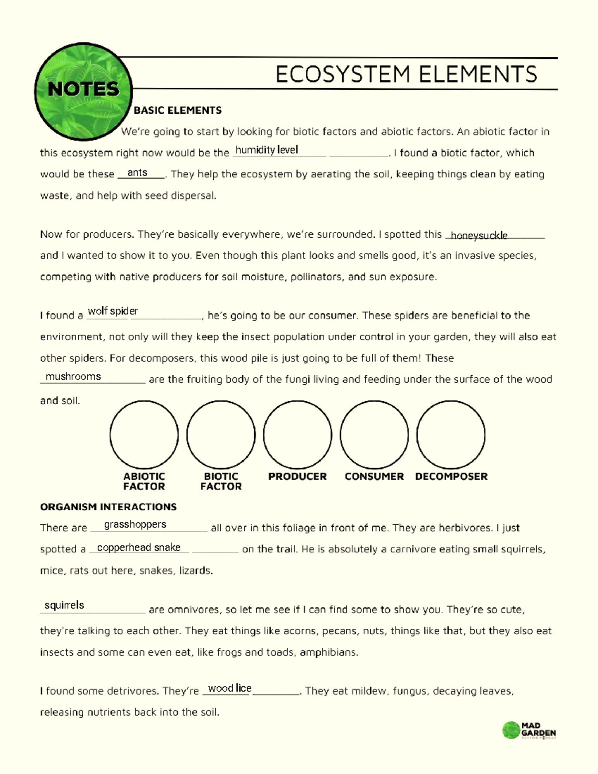 STU-Aiyden Shropshire - Ecosystem Elements - MGS - Student Sheet ...