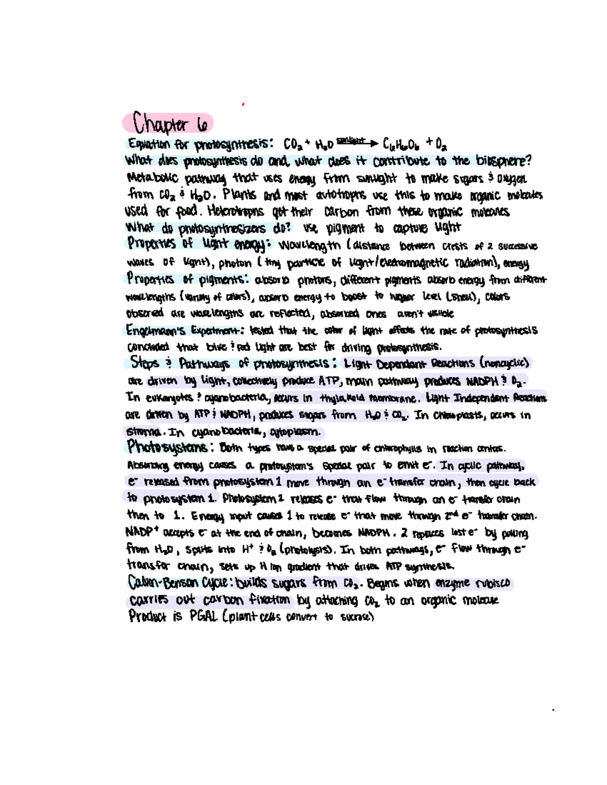 Chapter 6,7,8,9 - Chapter 6 Equation for photosynthesis: H2O sunlight ...