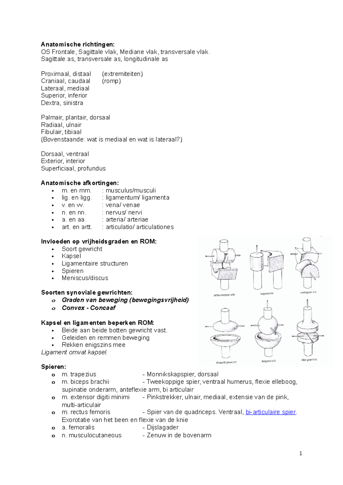 Kennisvragen voor HOK Thema I Compleet - Anatomische richtingen: OS ...