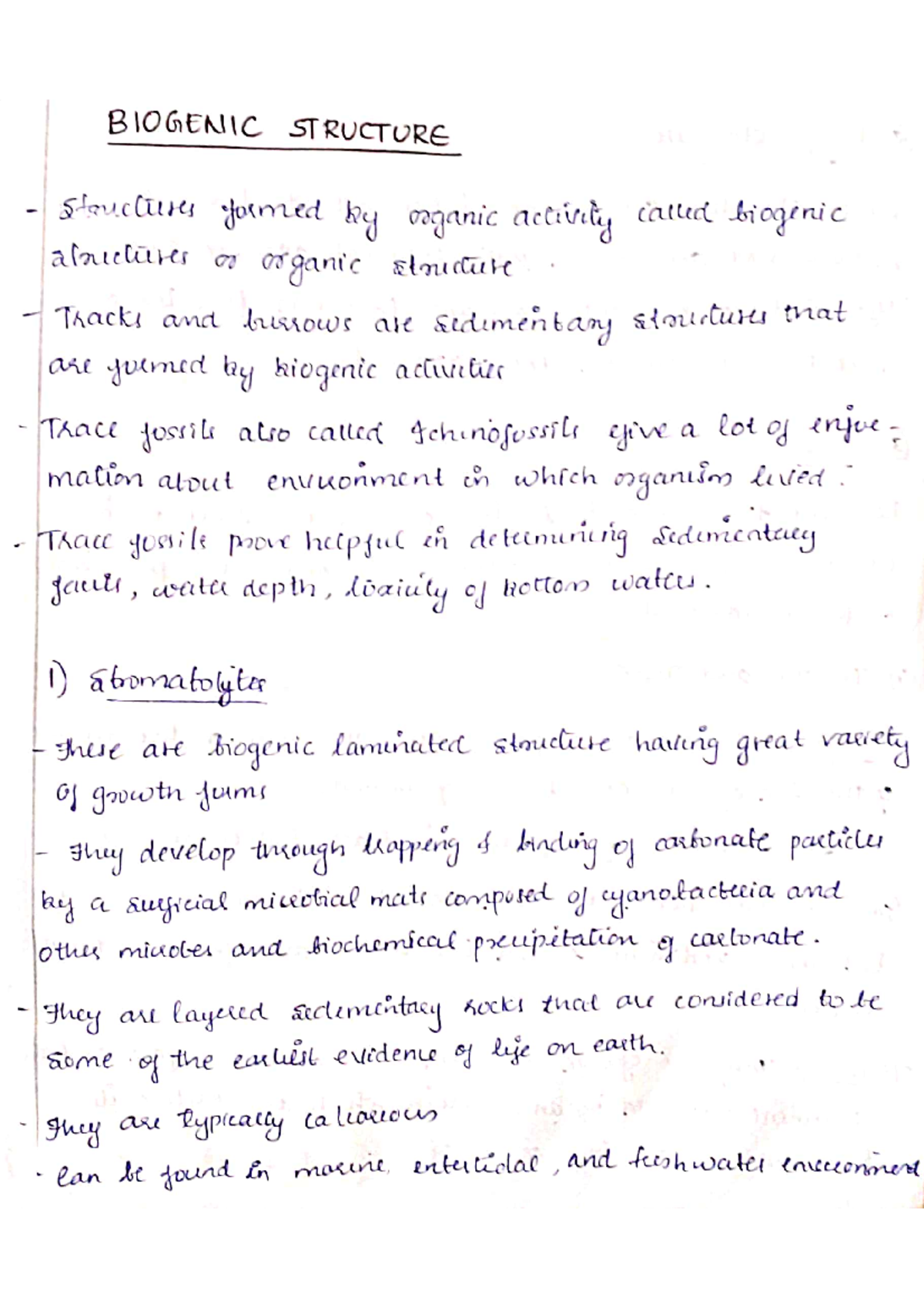 Secondary and organic structure - BIOGENIC STRUCTURE Structures formed ...