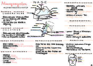 Endokrinologie; Sektretion, Insulin, Hormone - Endokrinologie Arten der ...