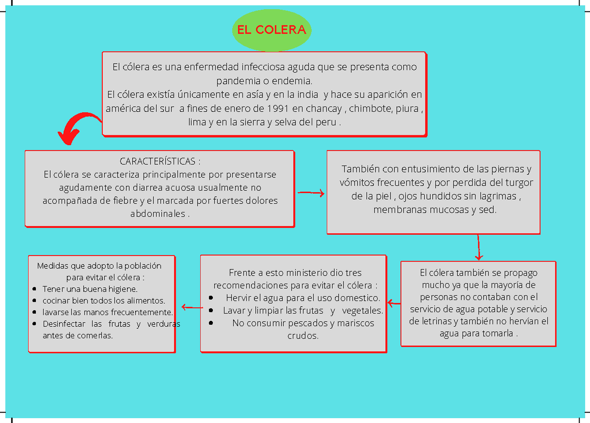 Historia del colera en el peru en 1 99 1 - EL COLERA El cólera es una ...