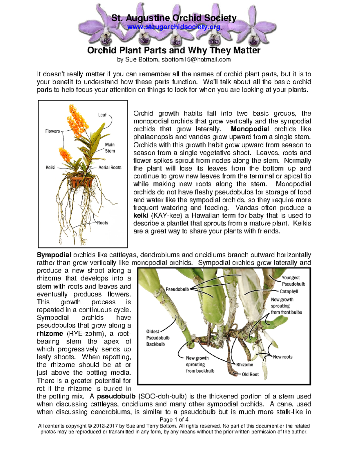 Orchid Plant Partand Why They Matterby Sue Bottom - staugorchidsociety ...