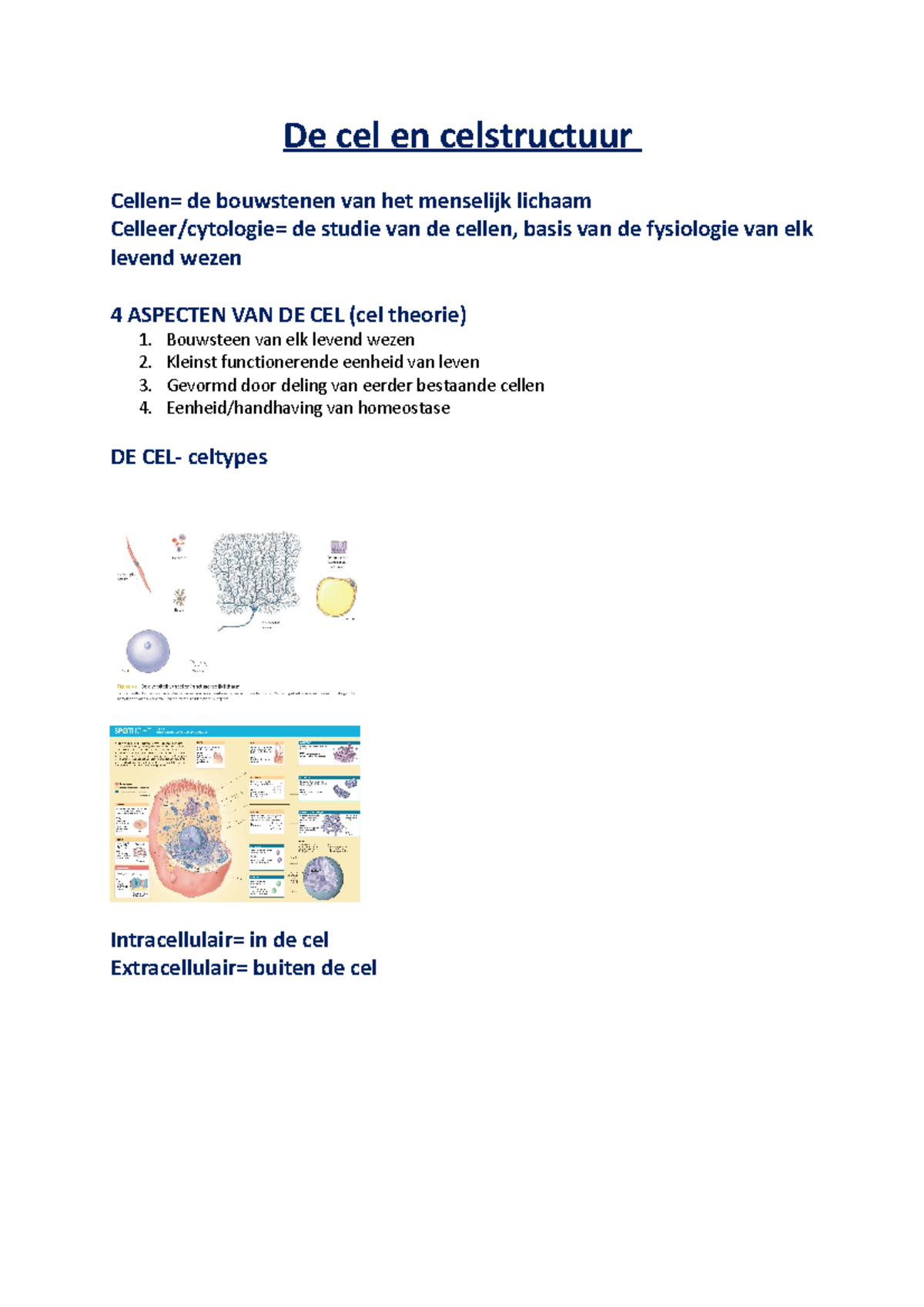 Hc de cel en celstructuur - De cel en celstructuur Cellen= de ...
