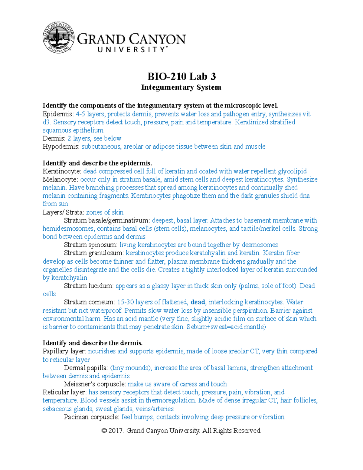 Bio210 lab 3 terms list - BIO-210 Lab 3 Integumentary System Identify the components of the ...